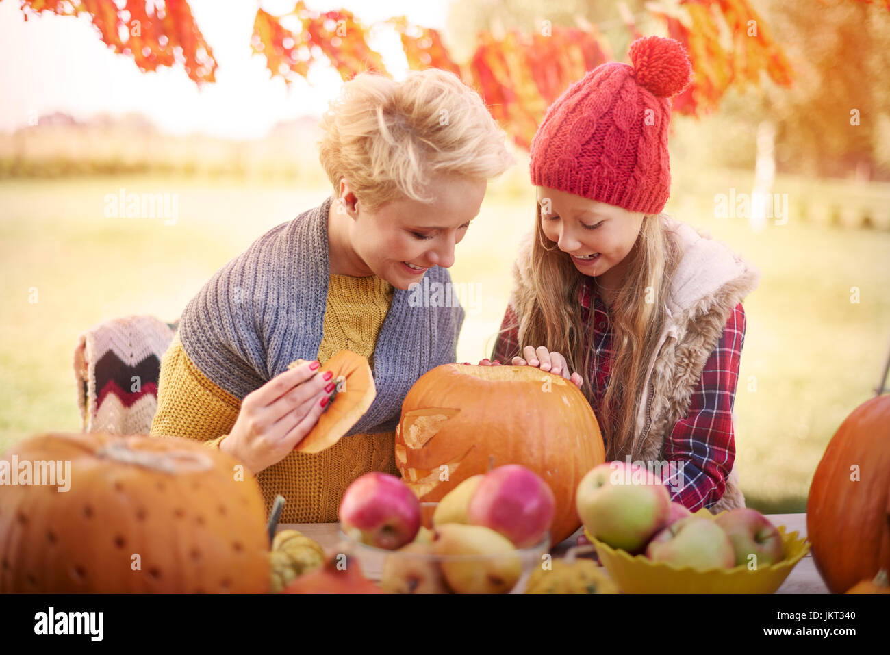 Looking what is inside the pumpkin Stock Photo - Alamy