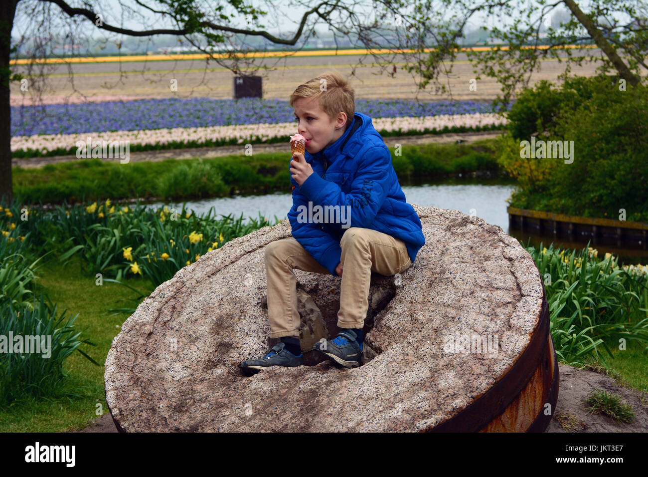 Blonde kid eating icecream on a tree trunk Stock Photo - Alamy