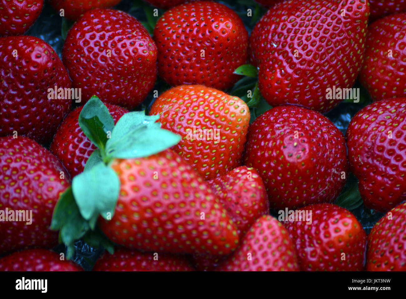Red background full of strawberries Stock Photo - Alamy