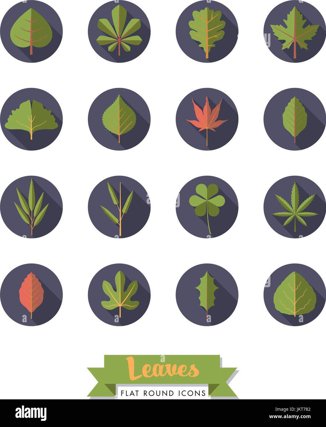 Long leaf willow Stock Vector Images - Alamy