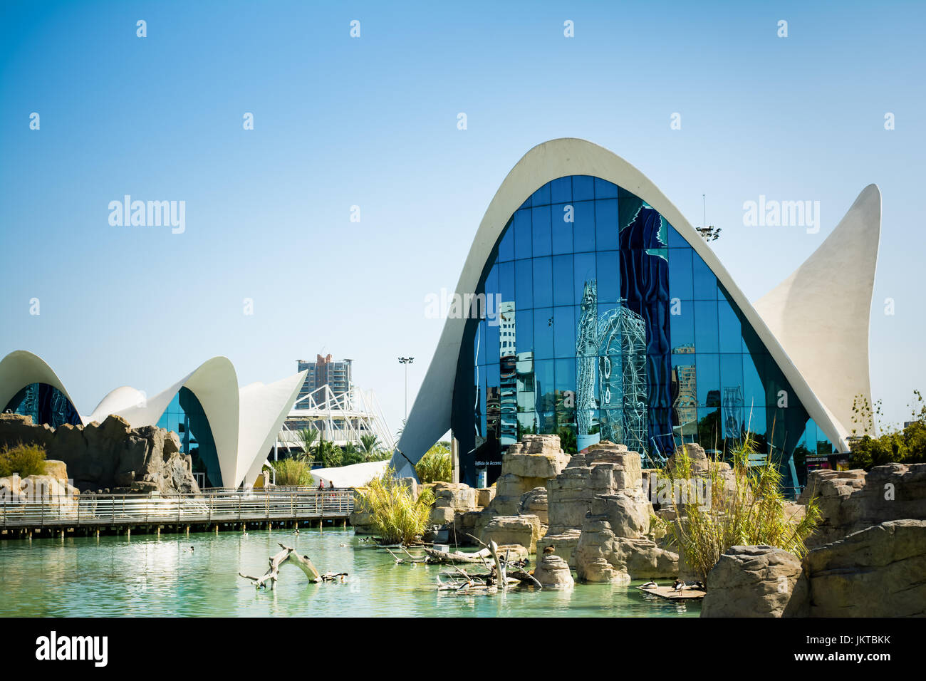 Valencia oceanographic park hi-res stock photography and images - Alamy