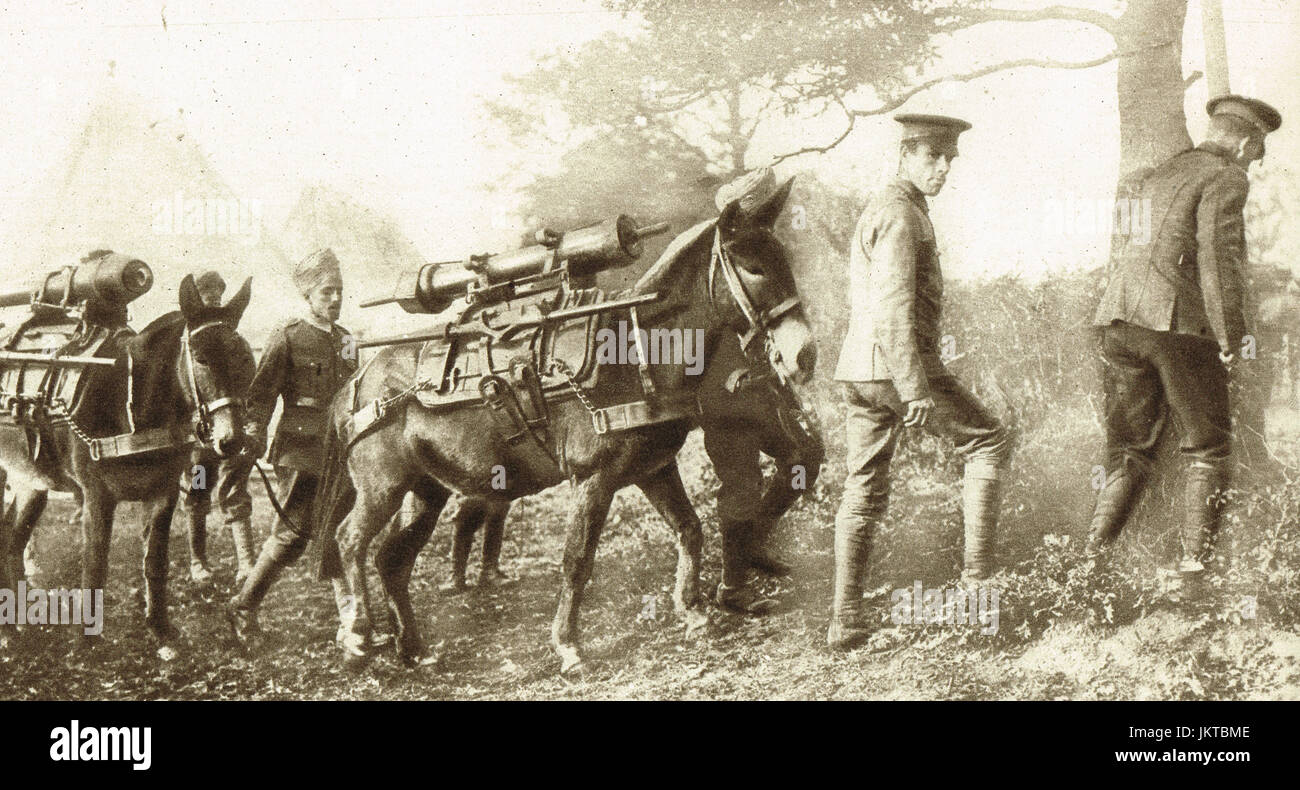 Artillery battery wwi hi-res stock photography and images - Alamy