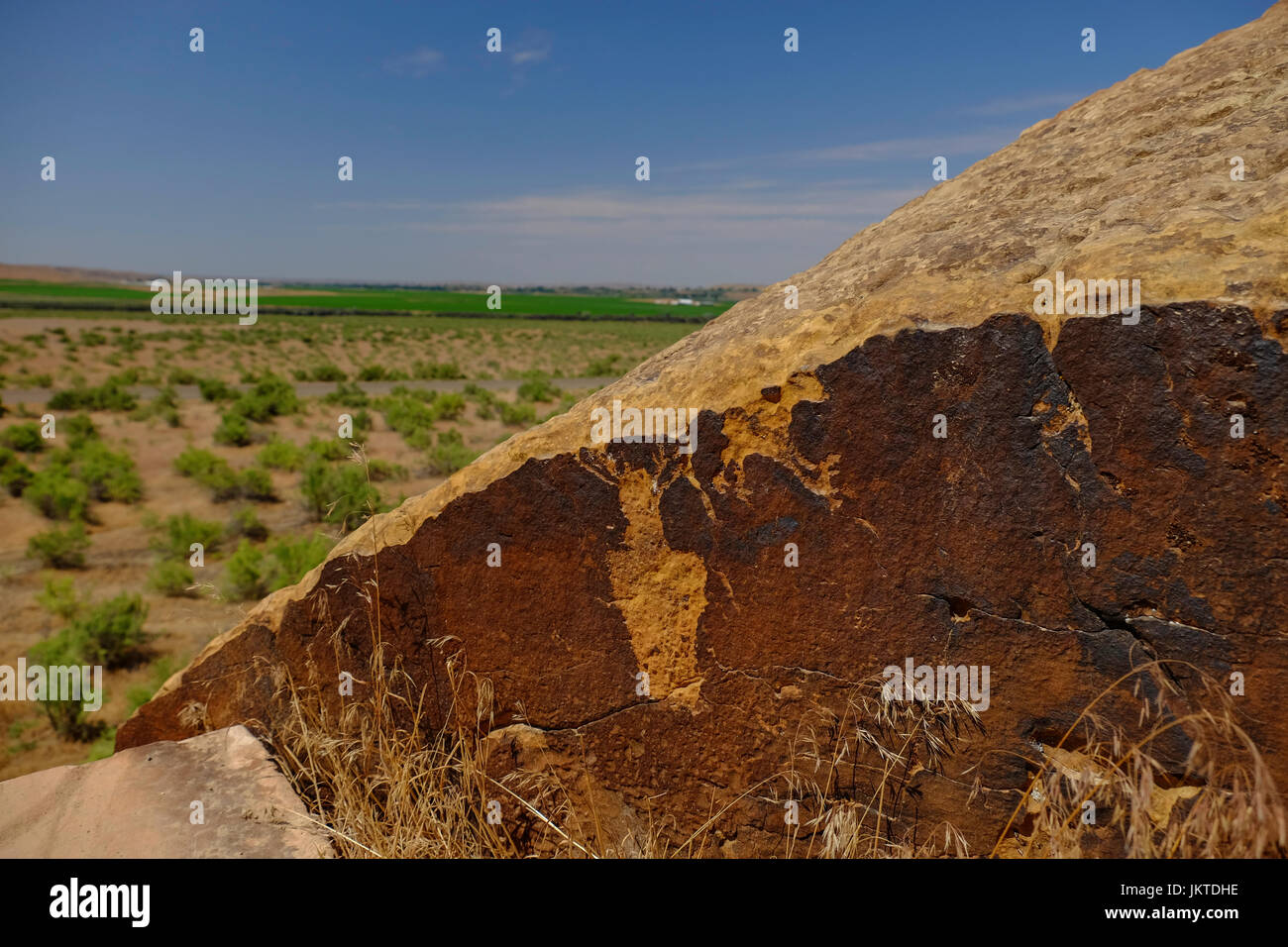 Dinosaur national park hi-res stock photography and images - Alamy