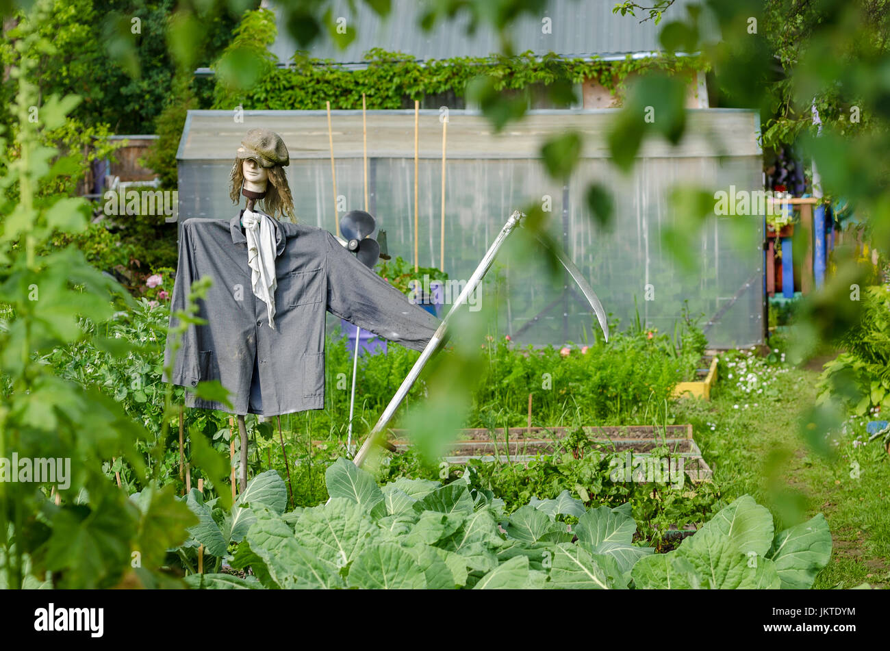 Scarecrow in the garden to protect the crop Stock Photo - Alamy