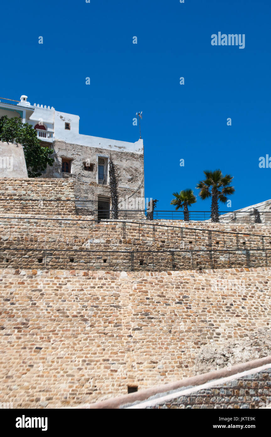 North Africa, Morocco: palm trees and ancient wall of the old town of ...