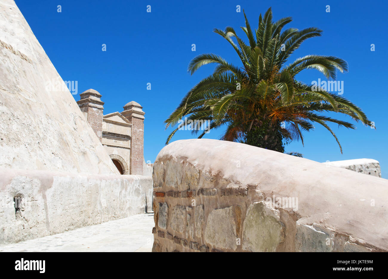 North Africa, Morocco: a palm tree and the ancient wall of the old town ...