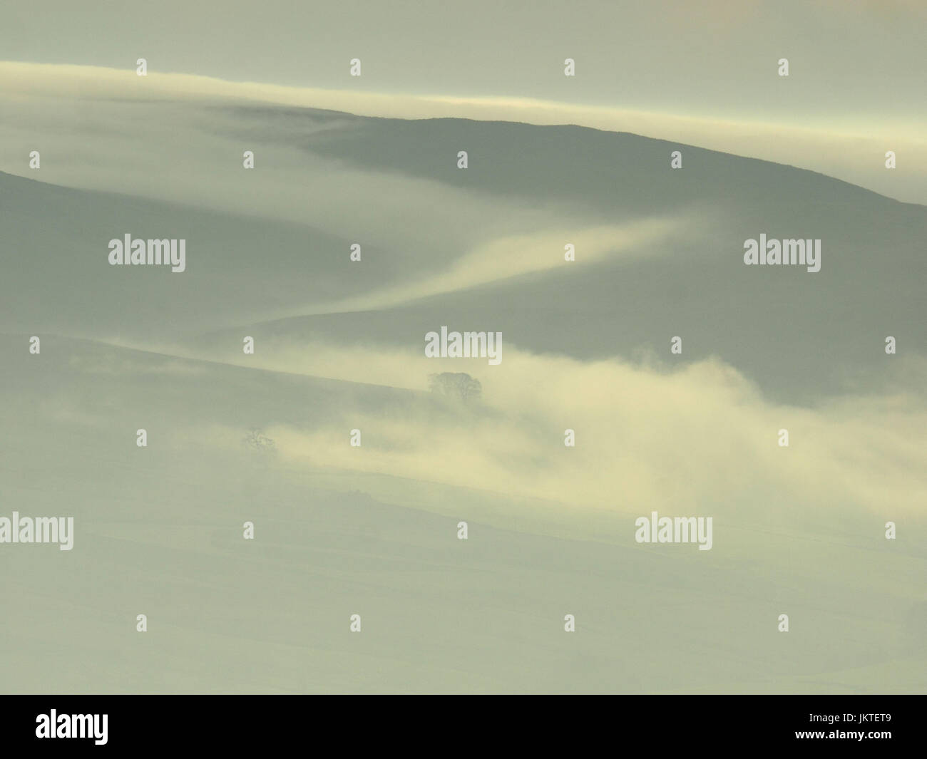 trees emerging from rising mist clinging to contours of hillsides as ...
