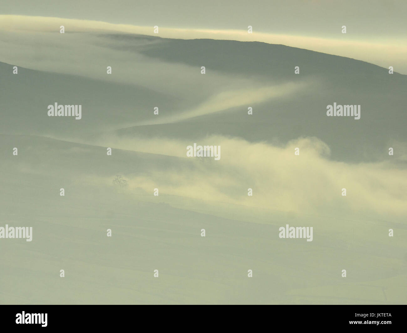 trees emerging from rising mist clinging to contours of hillsides as ...