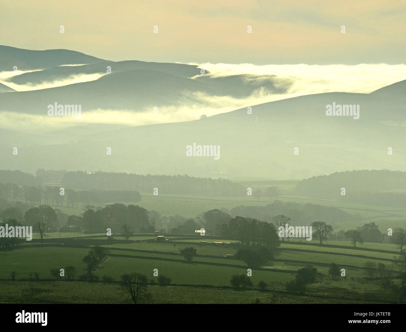 trees emerging from rising mist clinging to contours of hillsides as ...