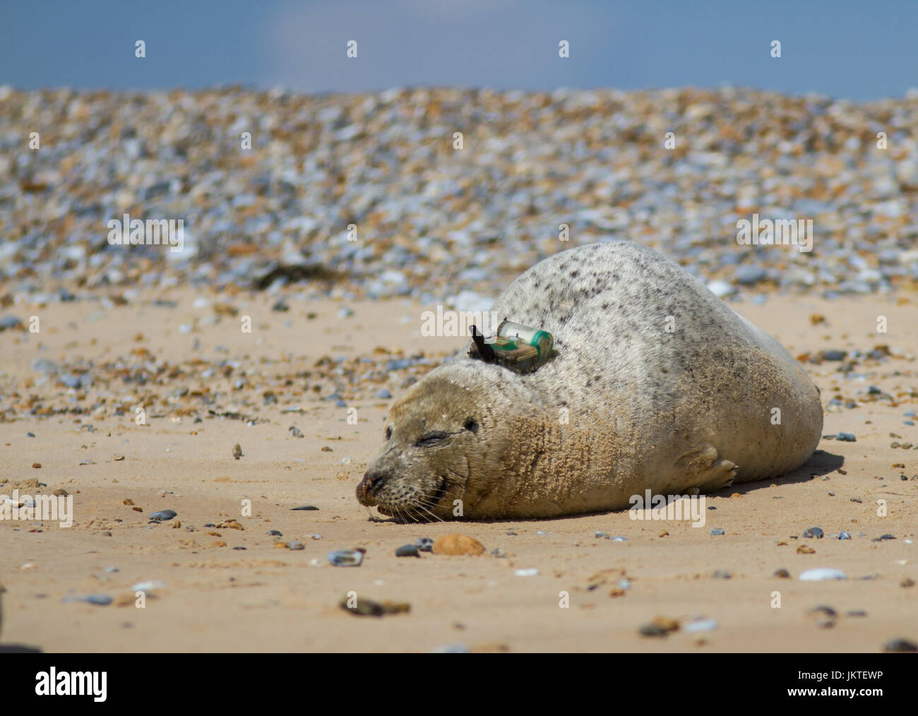 Control seal hi-res stock photography and images - Alamy