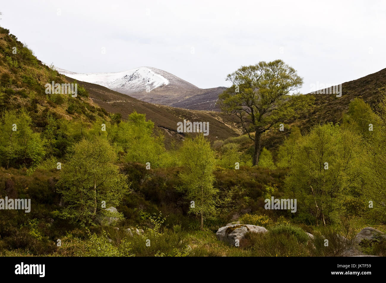 Cairngorms inverness shire hi-res stock photography and images - Alamy
