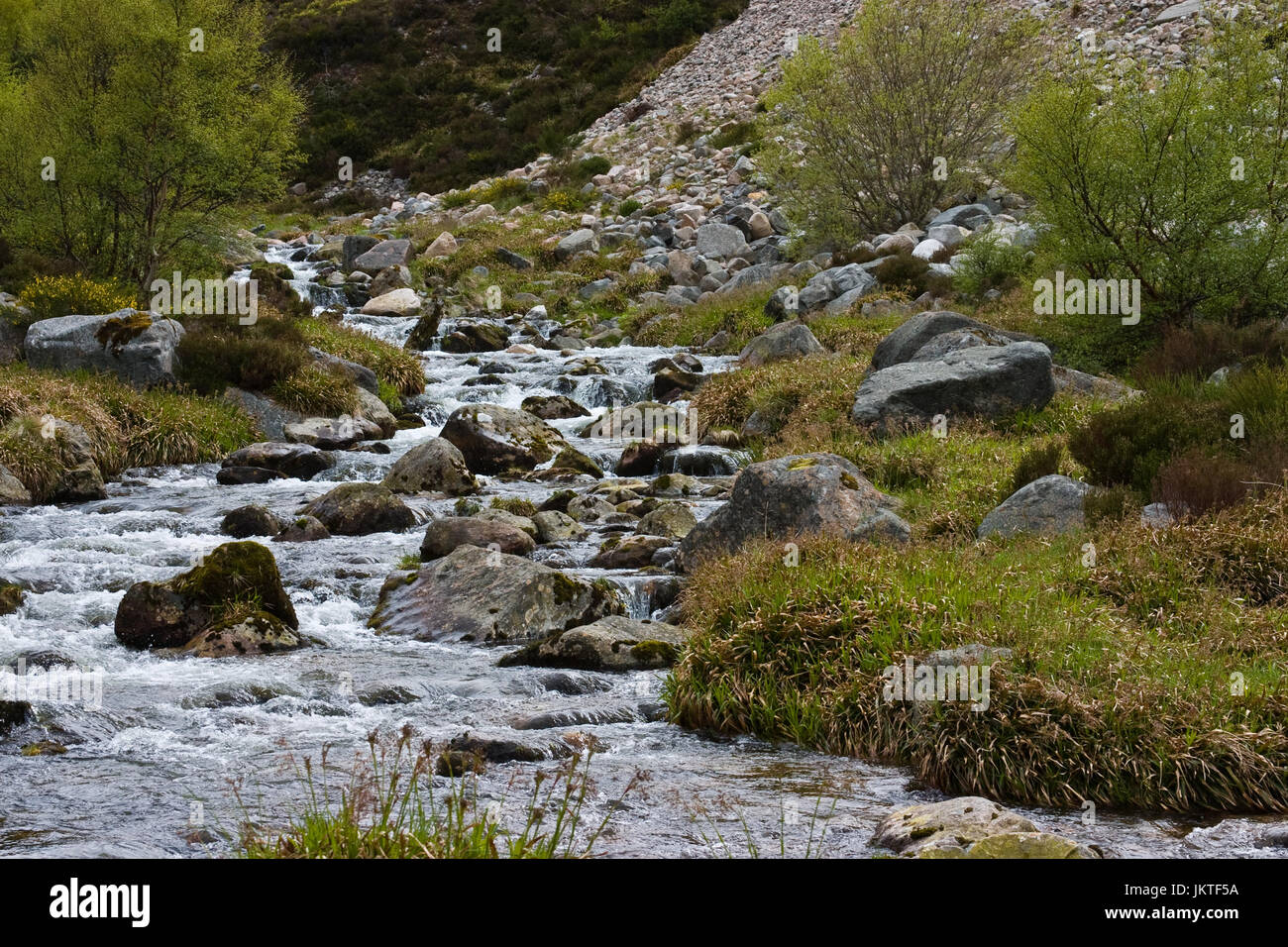 Cairngorms National Park landscape, Aviemore, Inverness-Shire, Scotland ...