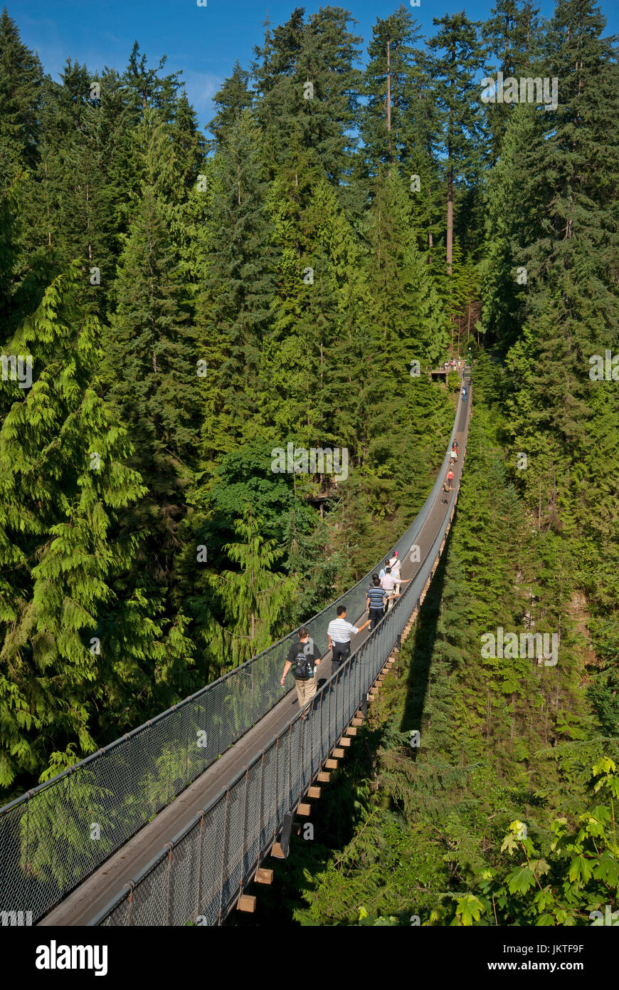 Capilano Suspension Bridge, Vancouver, British Columbia, Canada Stock ...