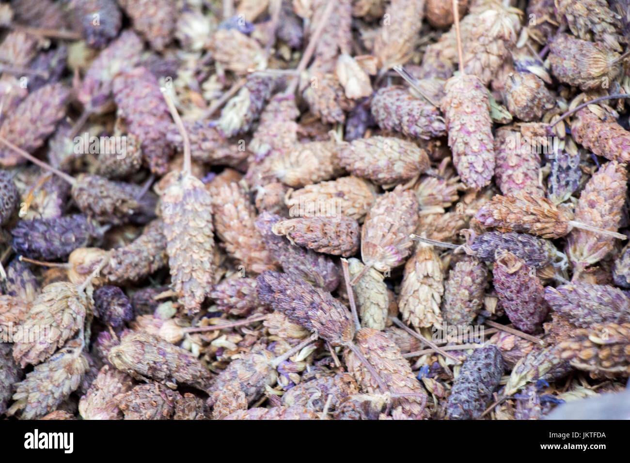 Dry herbal plants at the market Stock Photo - Alamy