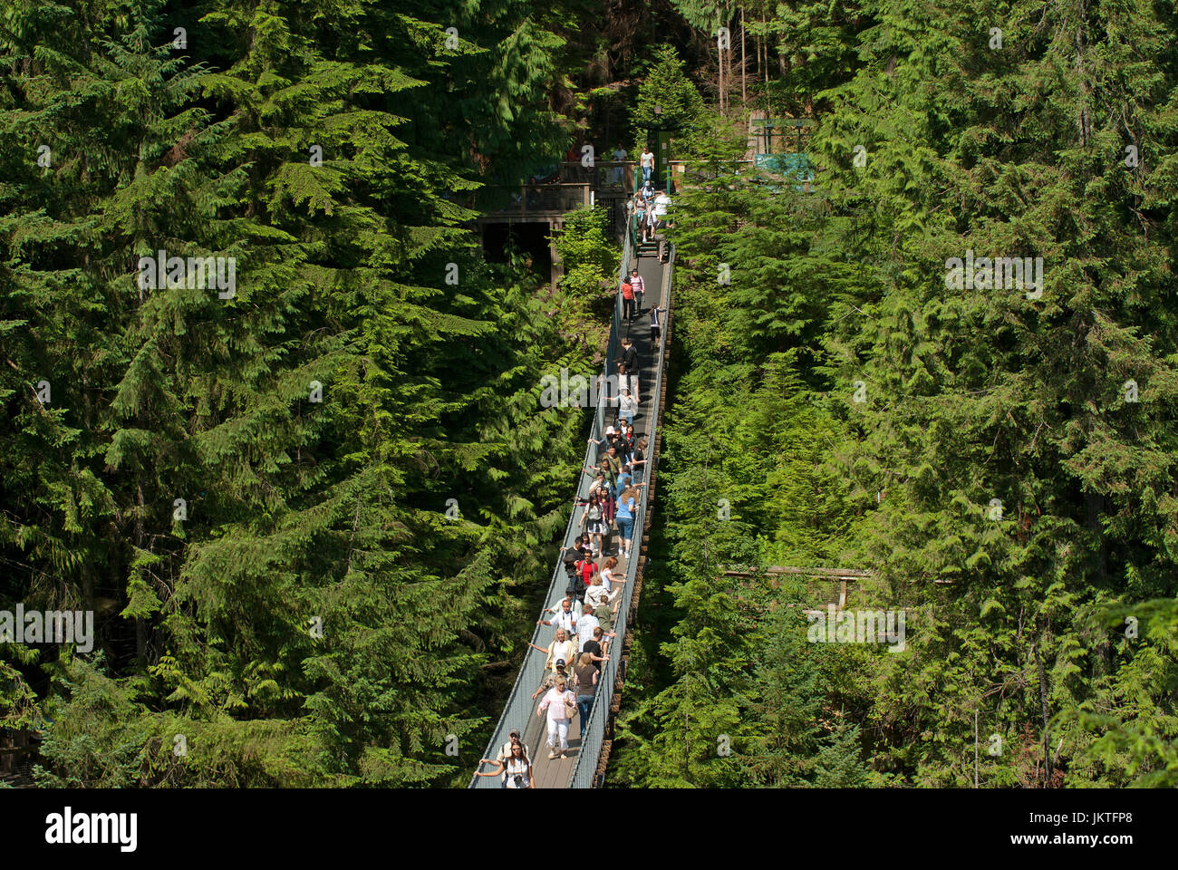 Capilano Suspension Bridge, Vancouver, British Columbia, Canada Stock ...