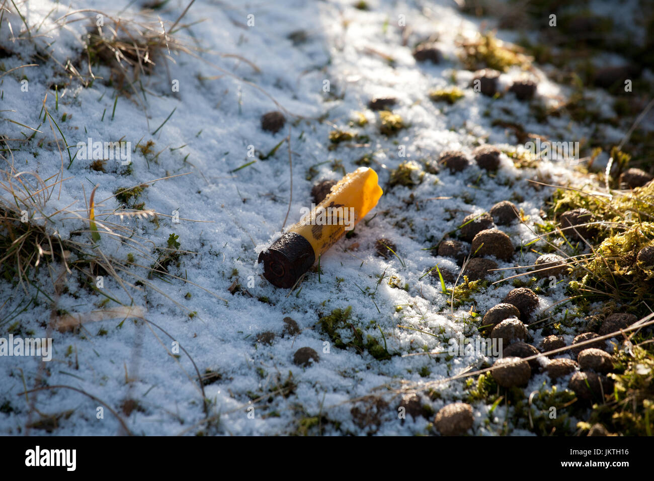 Hare droppings hi-res stock photography and images - Alamy