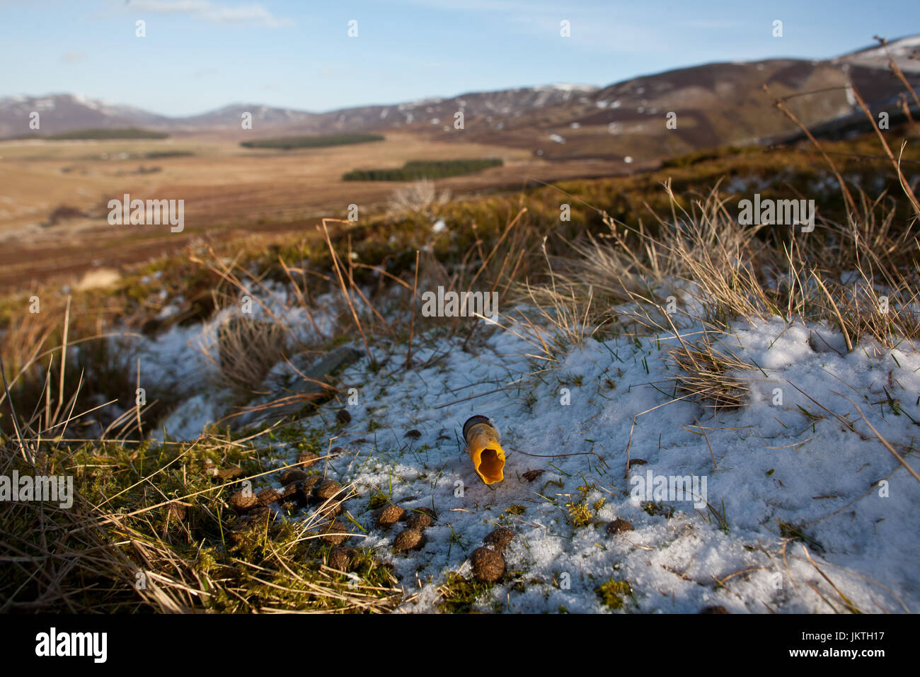 Hare droppings and shotgun cartridge, Glenlivet estate. Scotland, Feb ...