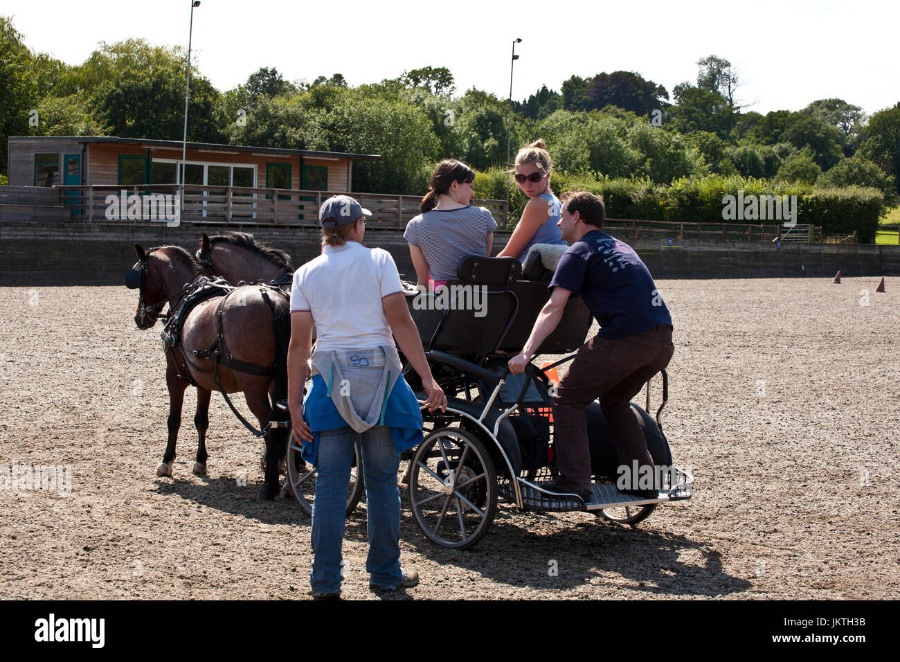 Carriage Driving in Equestrian Arena Stock Photo - Alamy