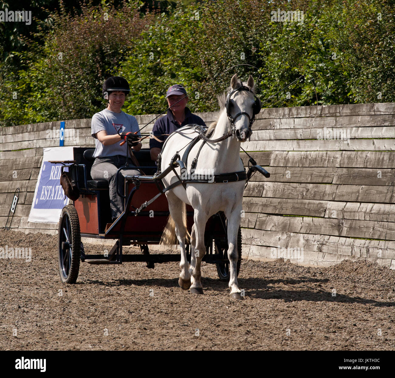Carriage Driving in Equestrian Arena Stock Photo - Alamy