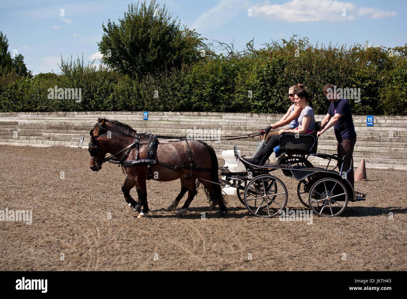Carriage Driving in Equestrian Arena Stock Photo - Alamy