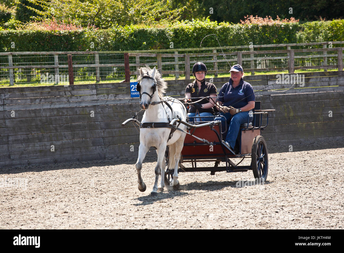 Carriage Driving in Equestrian Arena Stock Photo - Alamy