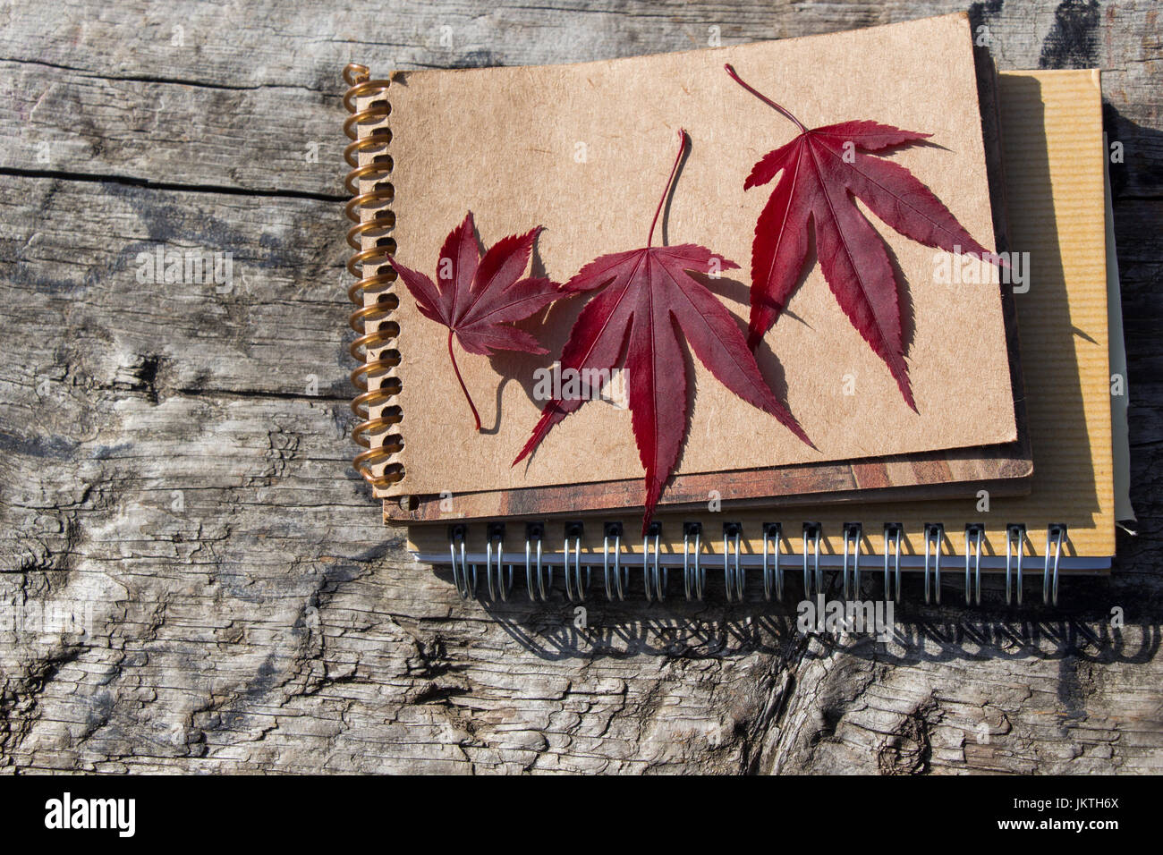 Leaves in hand over a notebook page Stock Photo - Alamy
