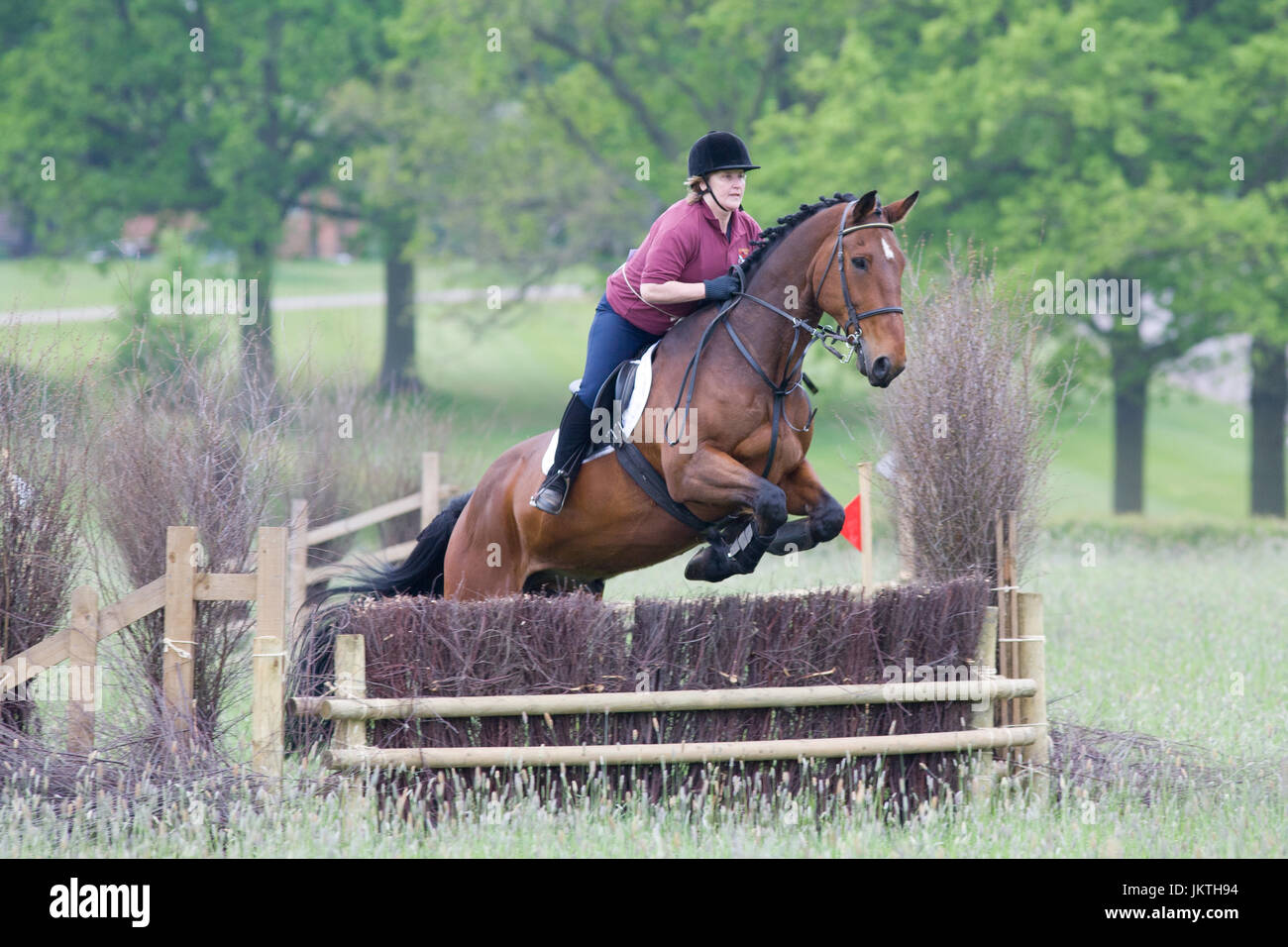 Riders showjumping in Windsor Great Park Stock Photo - Alamy