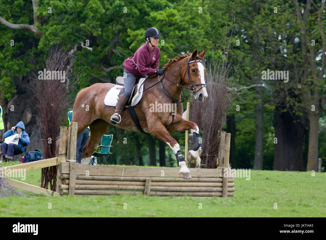 Riders showjumping in Windsor Great Park Stock Photo - Alamy