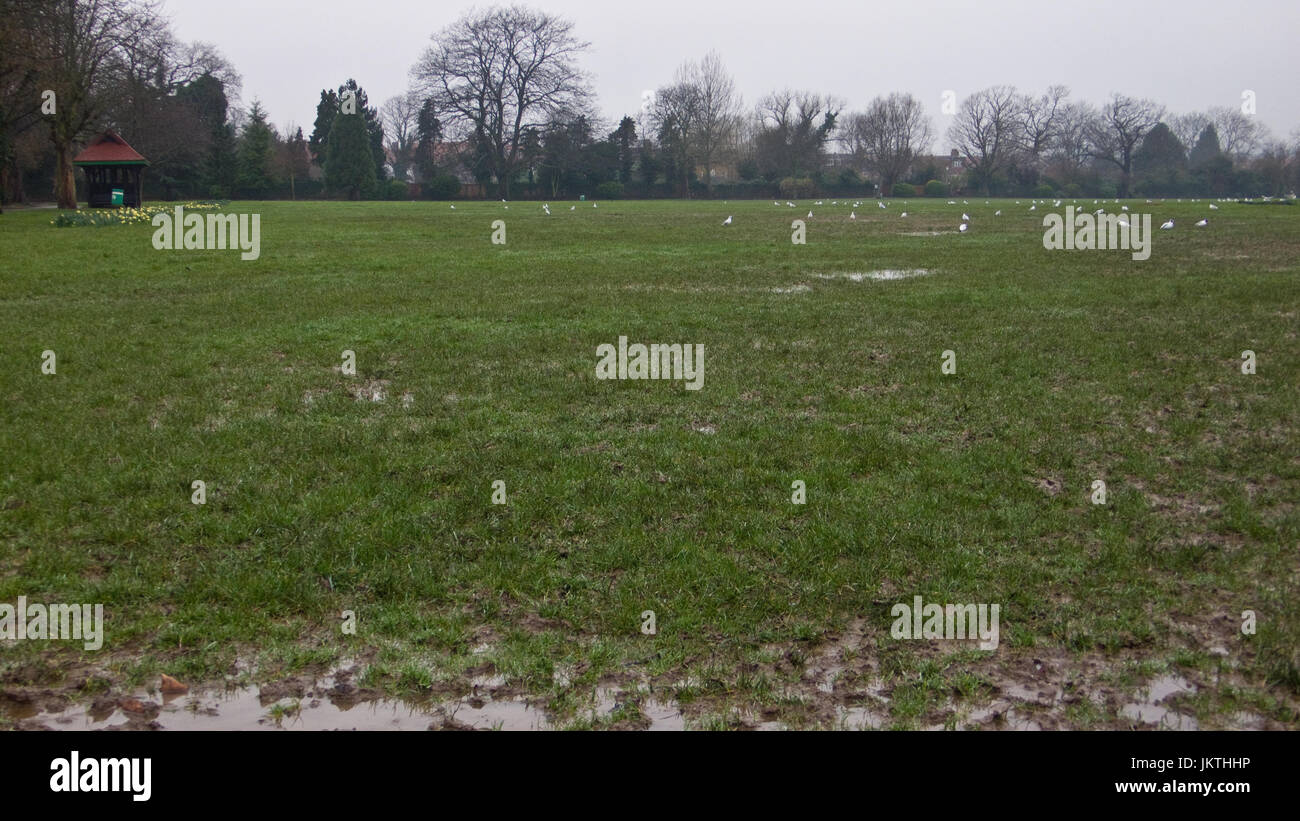 Muddy Playing Field Stock Photo - Alamy
