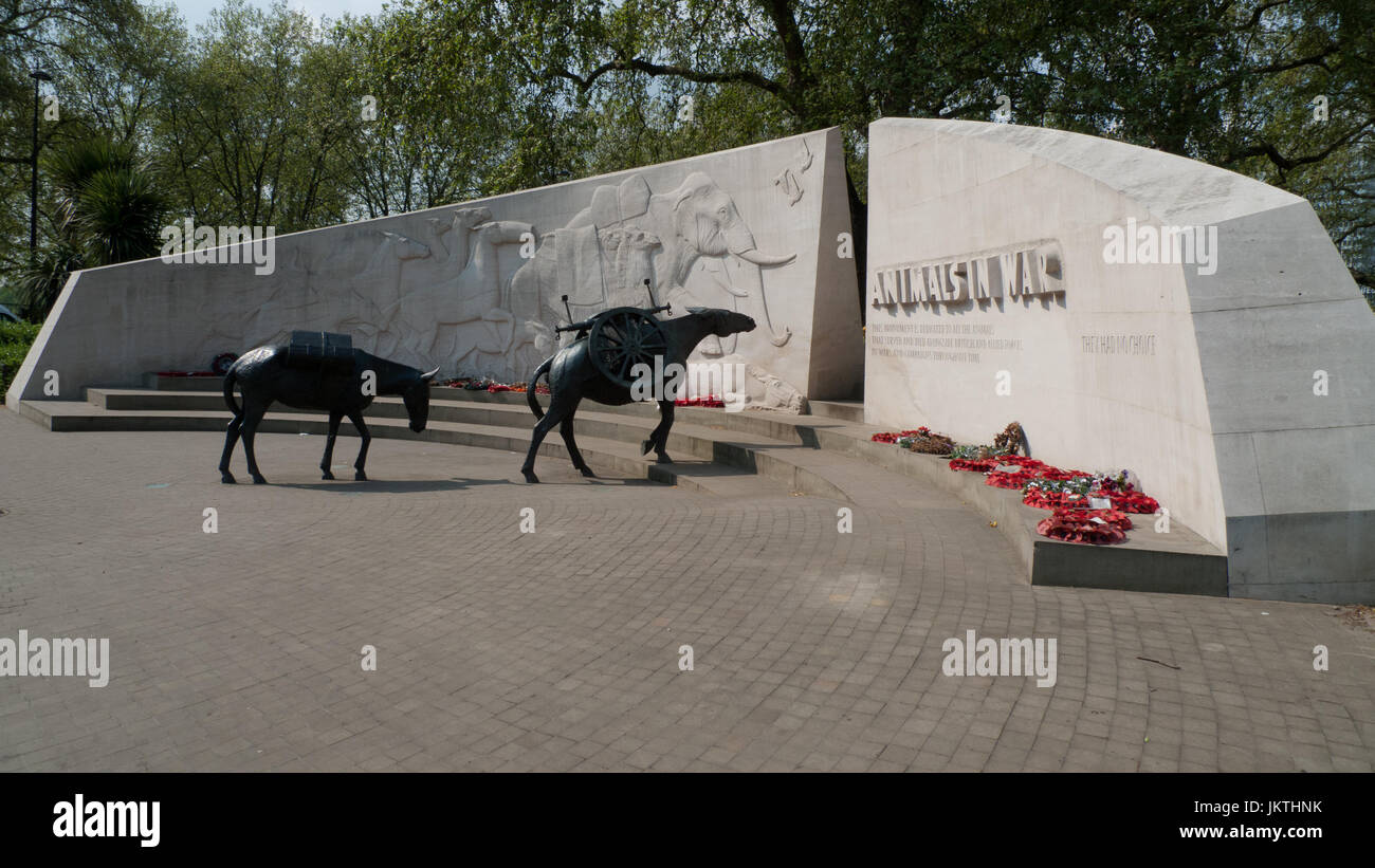 Animals In War High Resolution Stock Photography and Images - Alamy