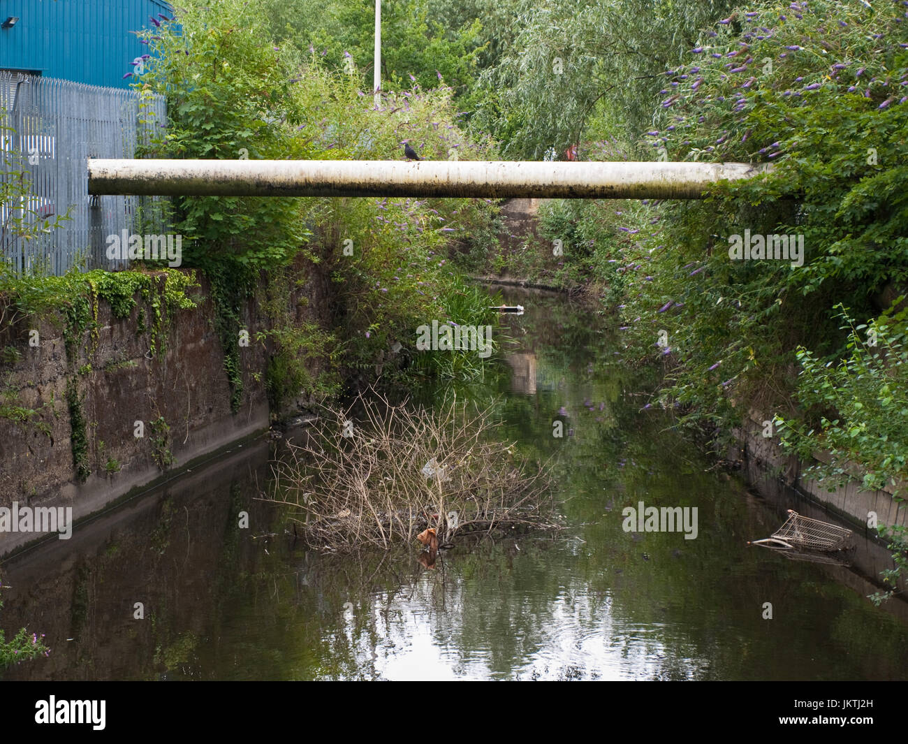 River colne watford hi-res stock photography and images - Alamy