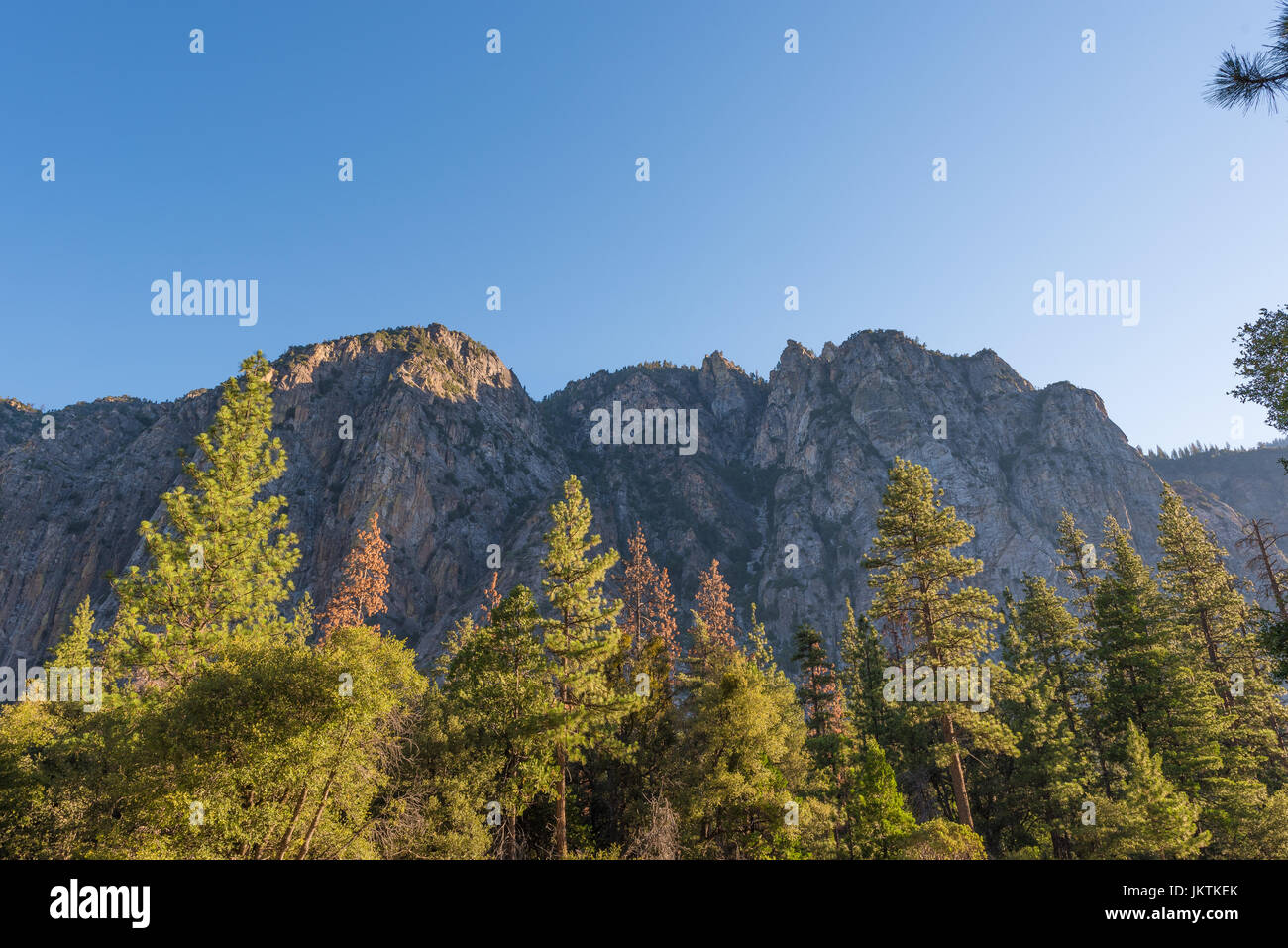 Cedar grove sequoia national park hi-res stock photography and images ...