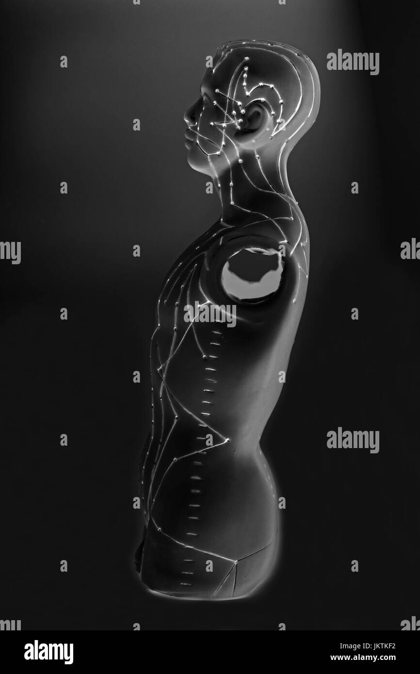 Medical acupuncture model of human Stock Photo - Alamy