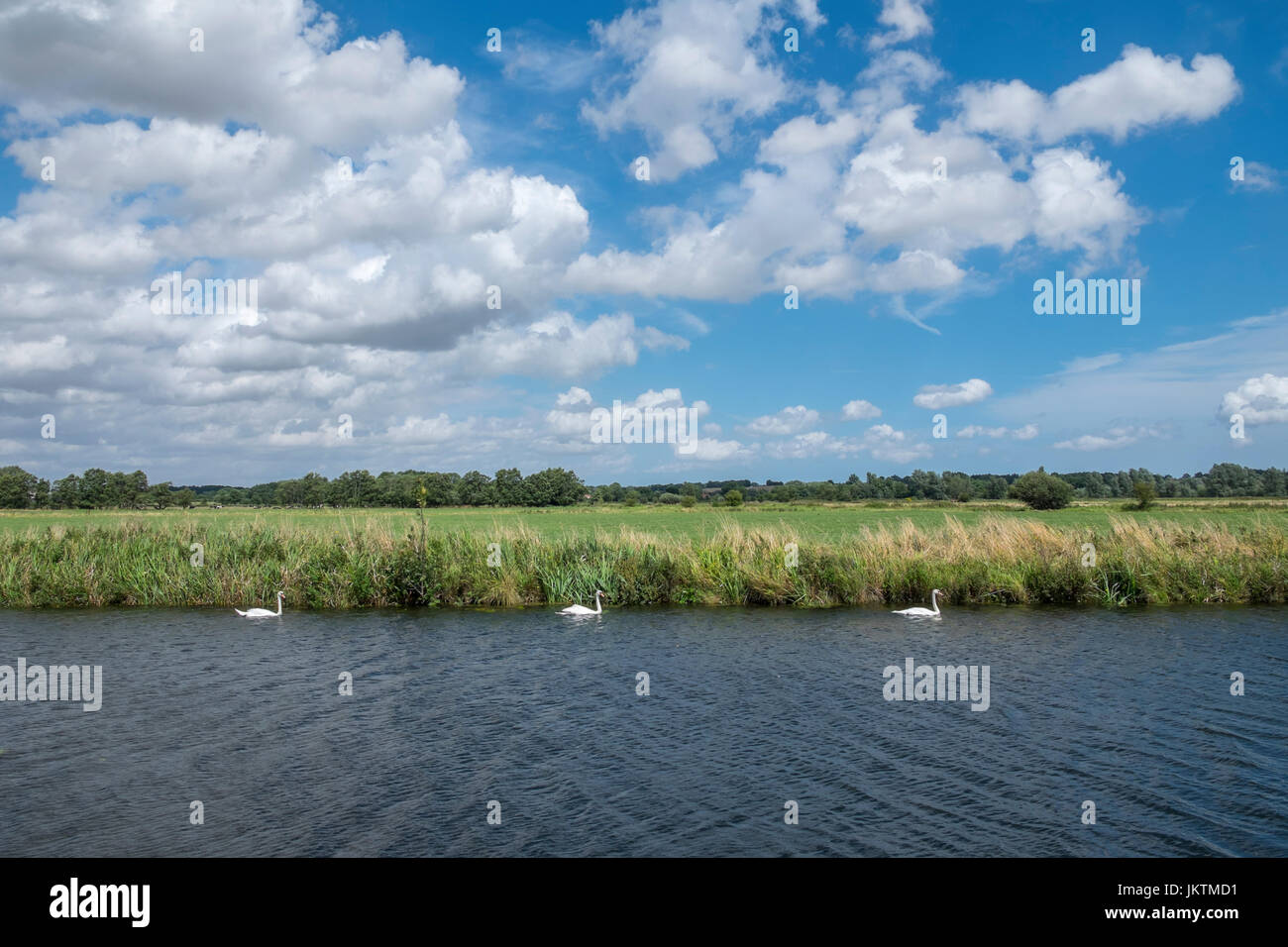 River waveney bungay swimming hi-res stock photography and images - Alamy