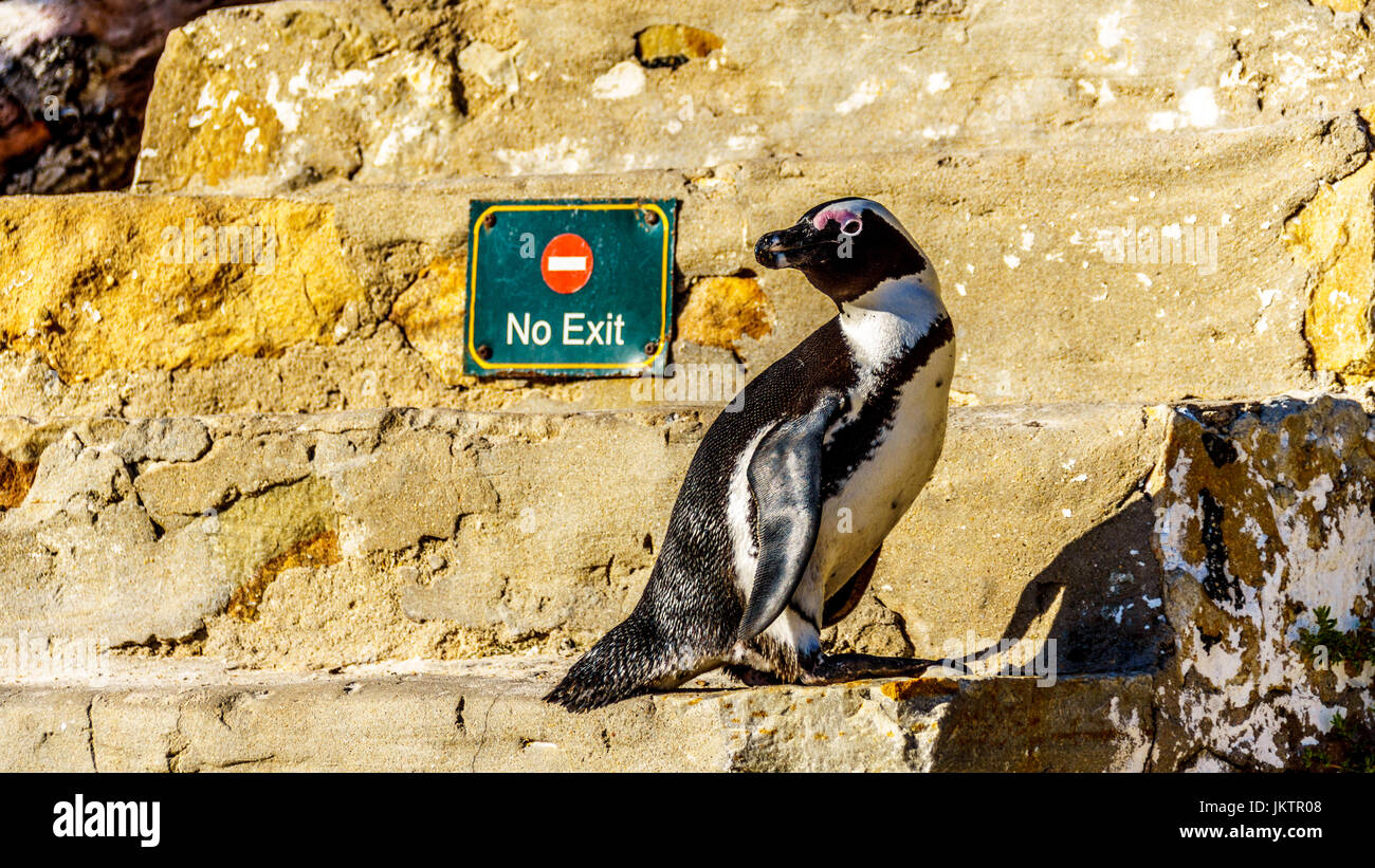 Looking wrong way hi-res stock photography and images - Alamy