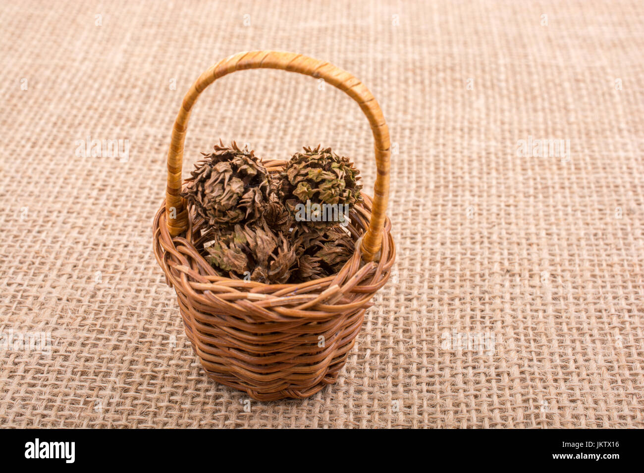 Brown pod, capsule in and in a tiny basket on canvas Stock Photo - Alamy