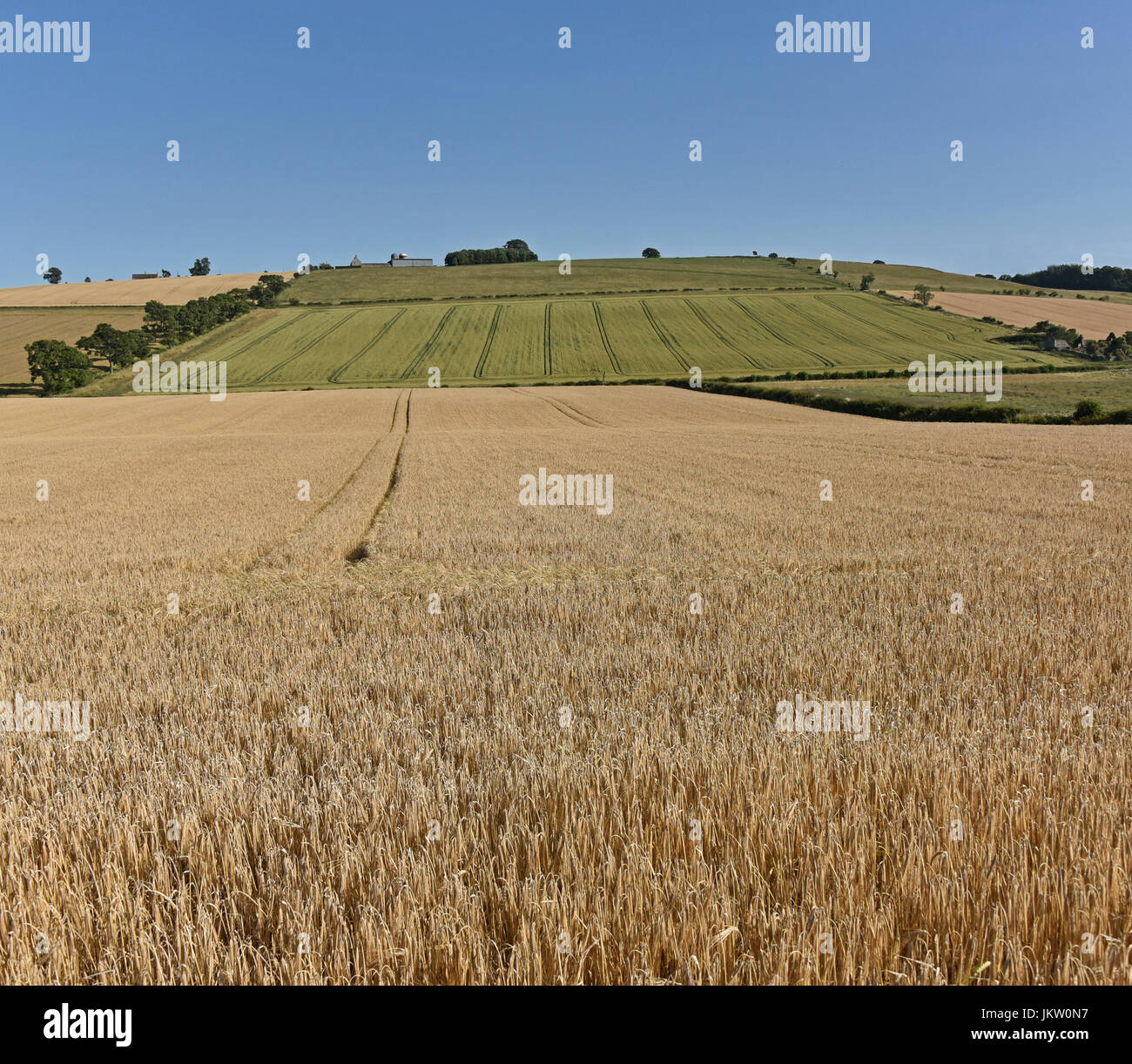 The site of the Battle of Flodden Field viewed from The Flodden ...