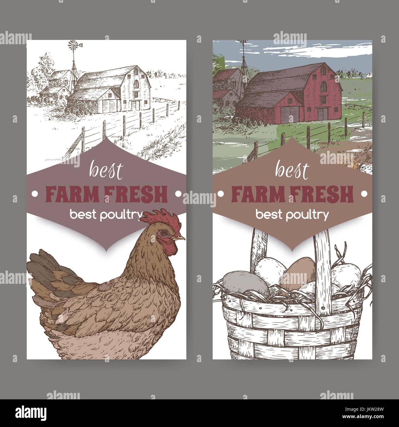 Two labels with farmhouse, color chicken and eggs on white Stock Vector ...