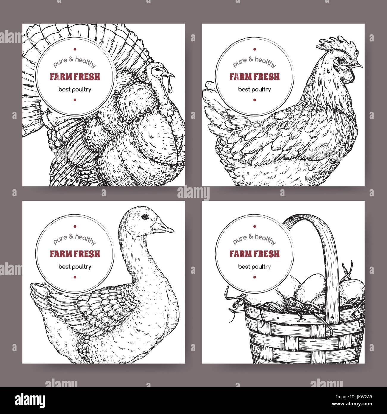 Four labels with hand drawn poultry sketches Stock Vector Image & Art ...