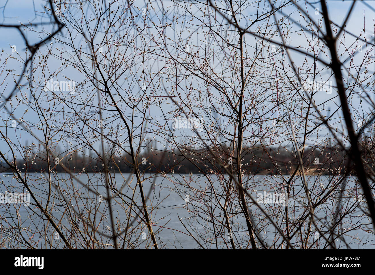 Nature background with spring landscape and melting ice at the lake ...