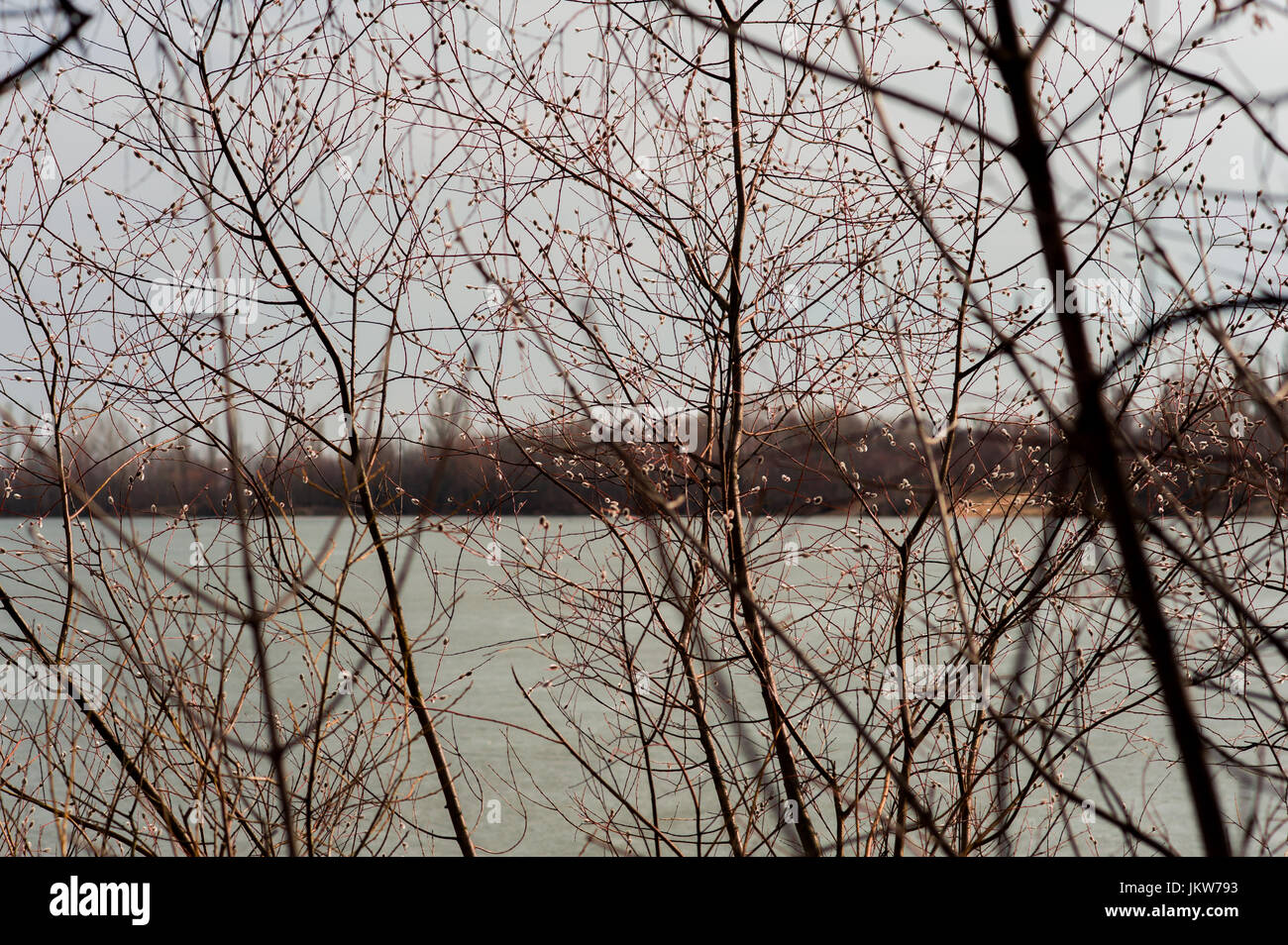 Nature background with spring landscape and melting ice at the lake ...