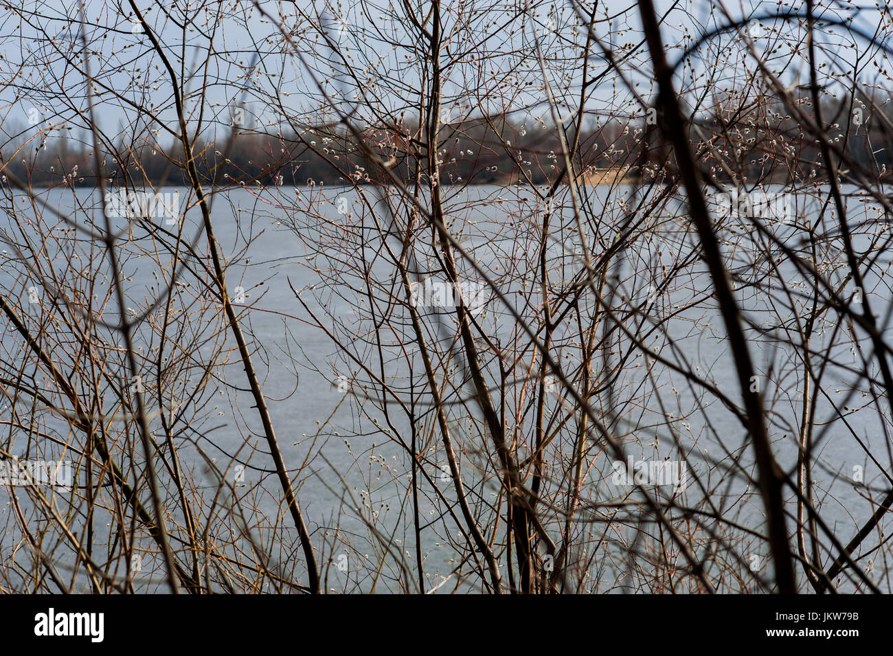 Nature background with spring landscape and melting ice at the lake ...