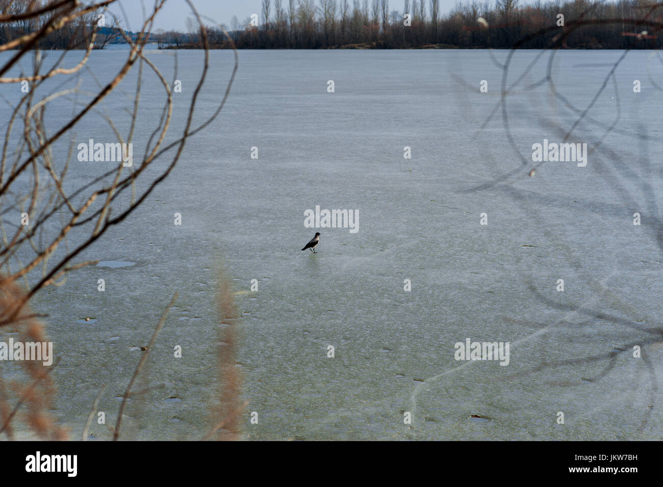 Nature background with spring landscape and melting ice at the lake ...