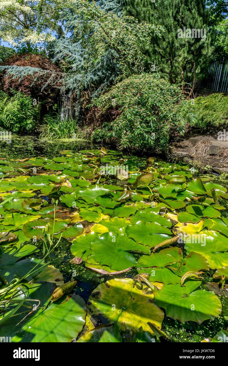 Manor heath park hi-res stock photography and images - Alamy