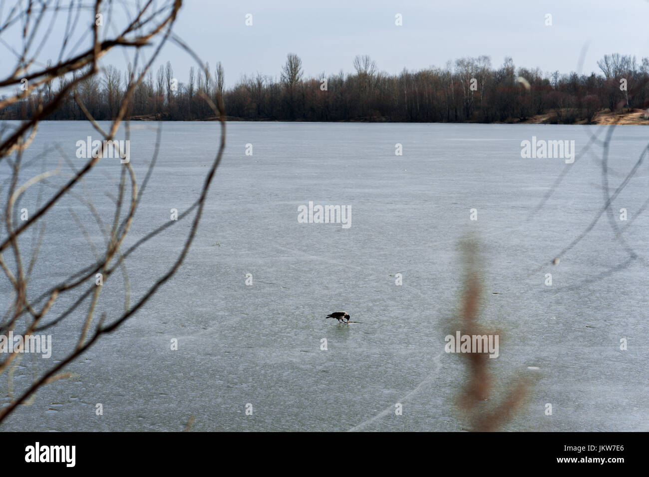 Nature background with spring landscape and melting ice at the lake ...