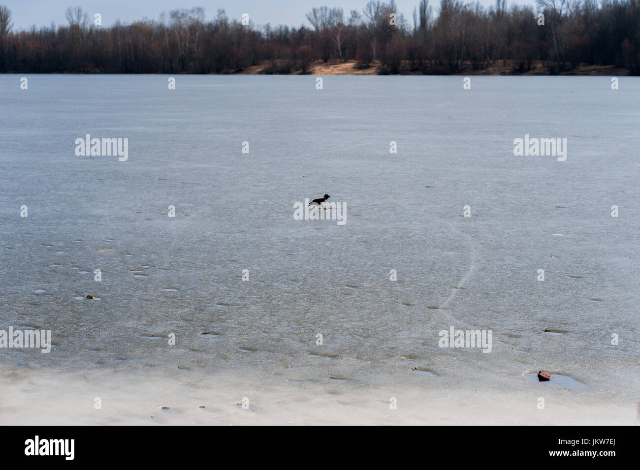 Nature background with spring landscape and melting ice at the lake ...