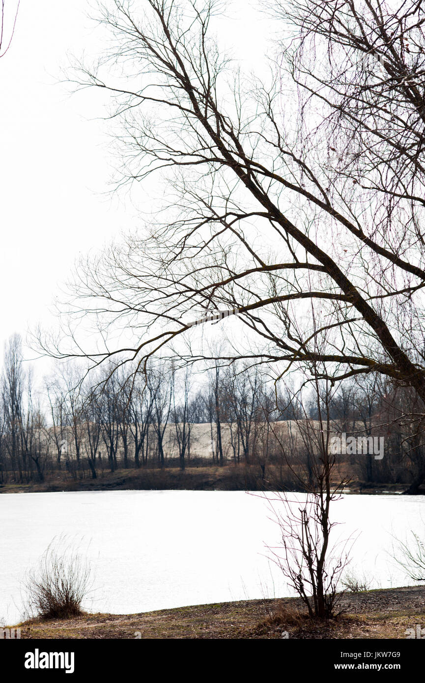 Nature background with spring landscape and melting ice at the lake ...