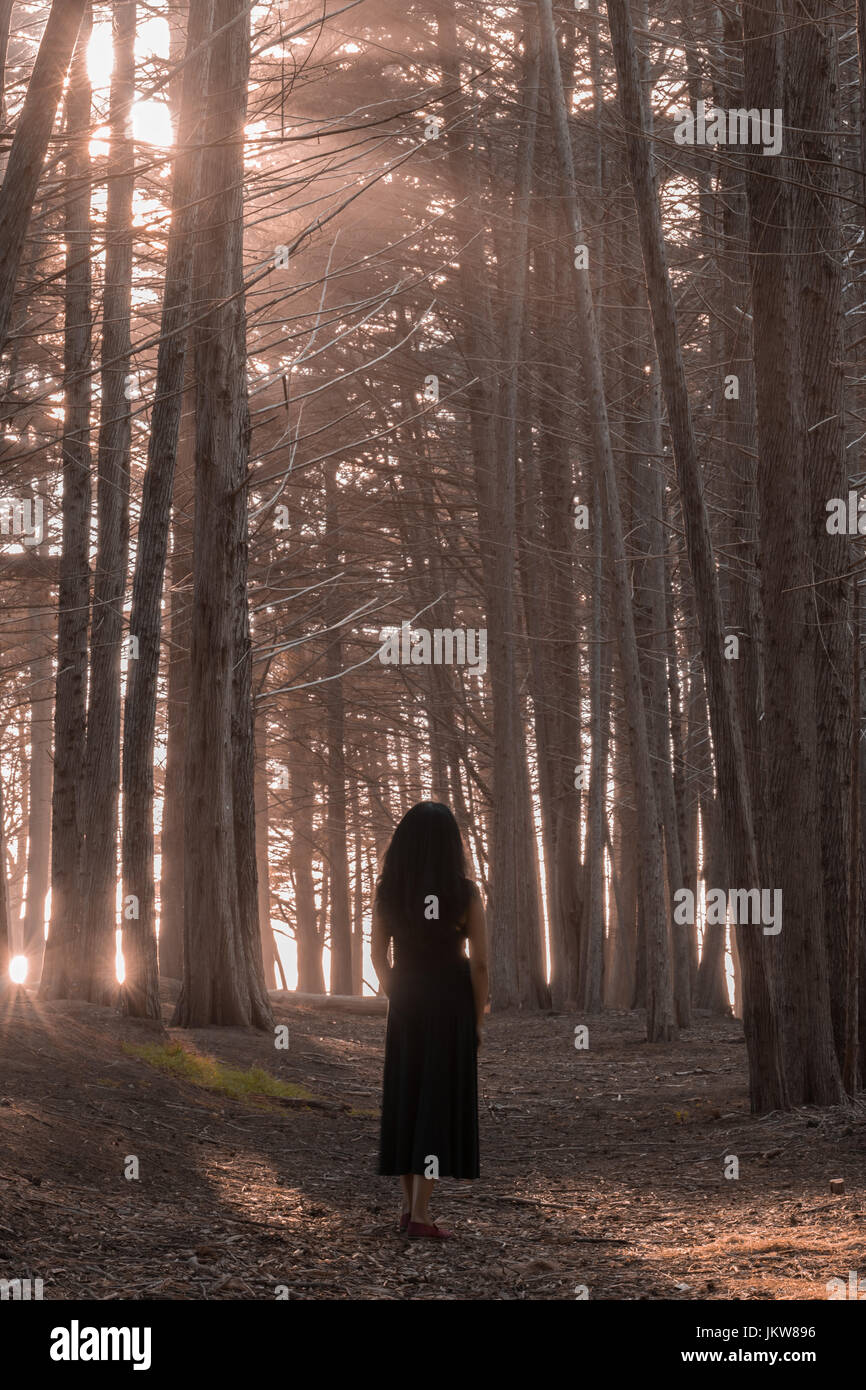 Woman Standing in Cypress Tree Forest Stock Photo - Alamy