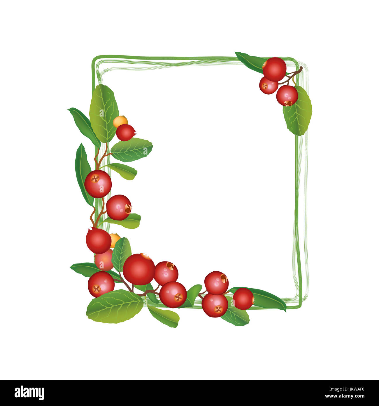 Cranberry summer frame berry hi-res stock photography and images - Alamy