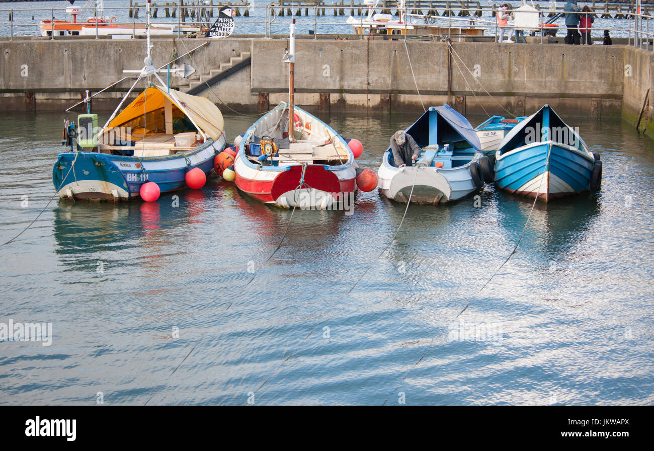 Trawler landing fish hi-res stock photography and images - Alamy